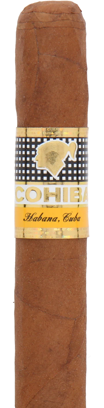 Cohiba Robustos Cuban Cigars - Single - UK Smoke King